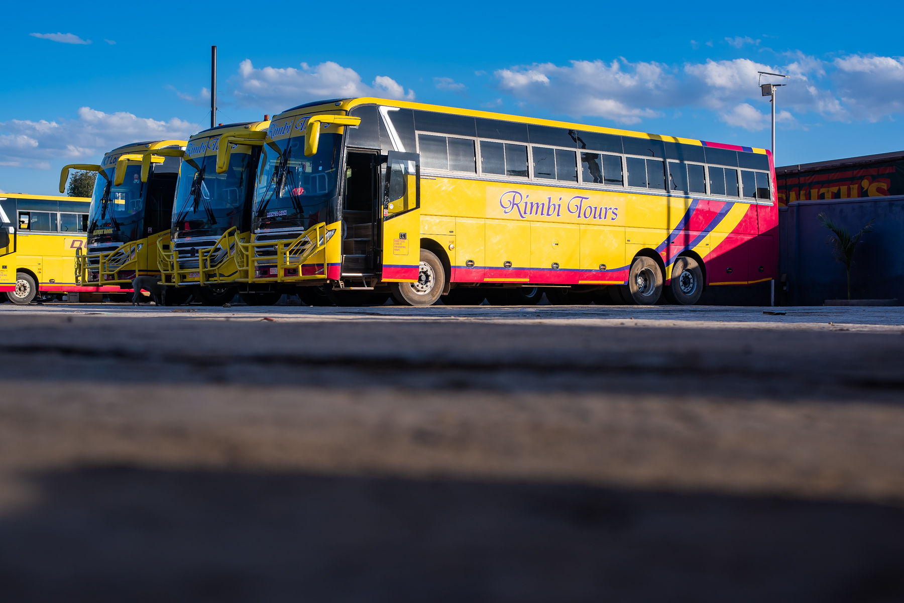 Rimbi Travel & Tours - Zimbabwe's Premier Transport Service